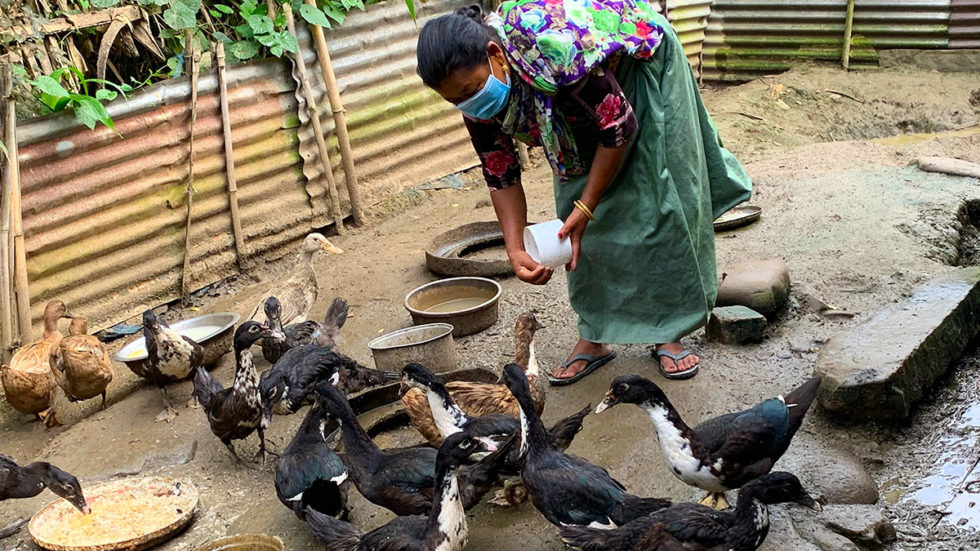 Widows Might Ace Development Fund Affirm Connect Empower